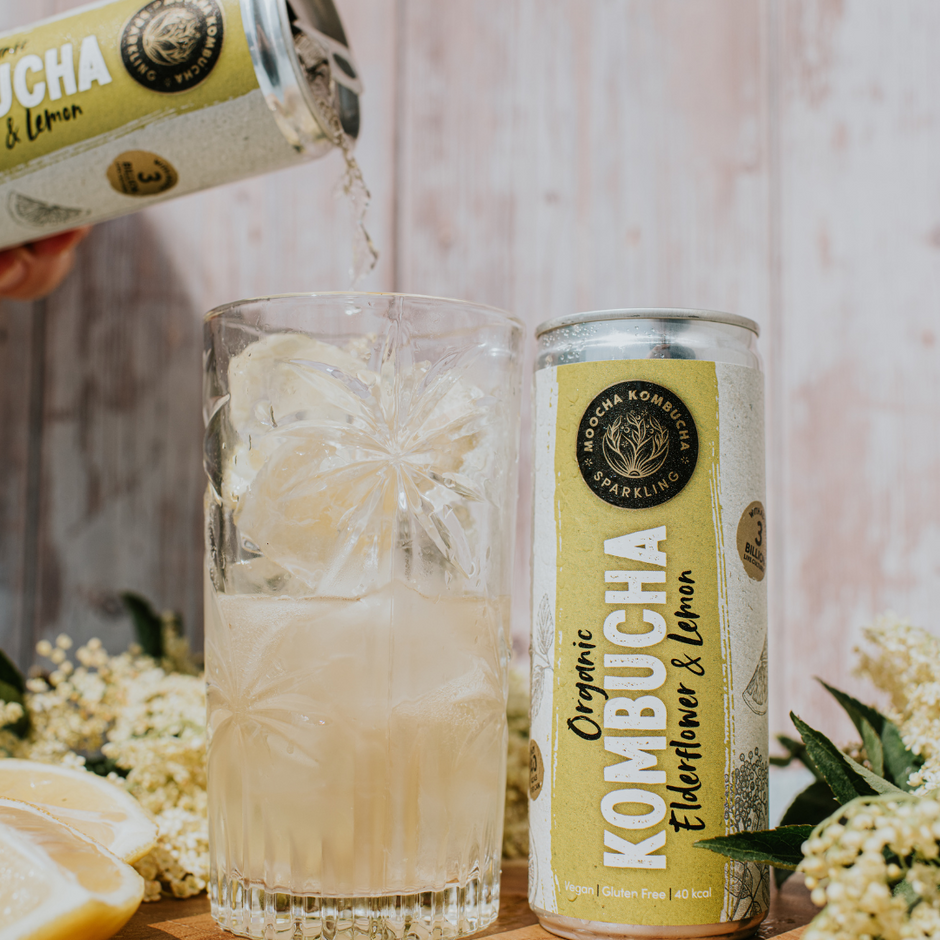 Organic Canned Kombucha – Moocha Kombucha