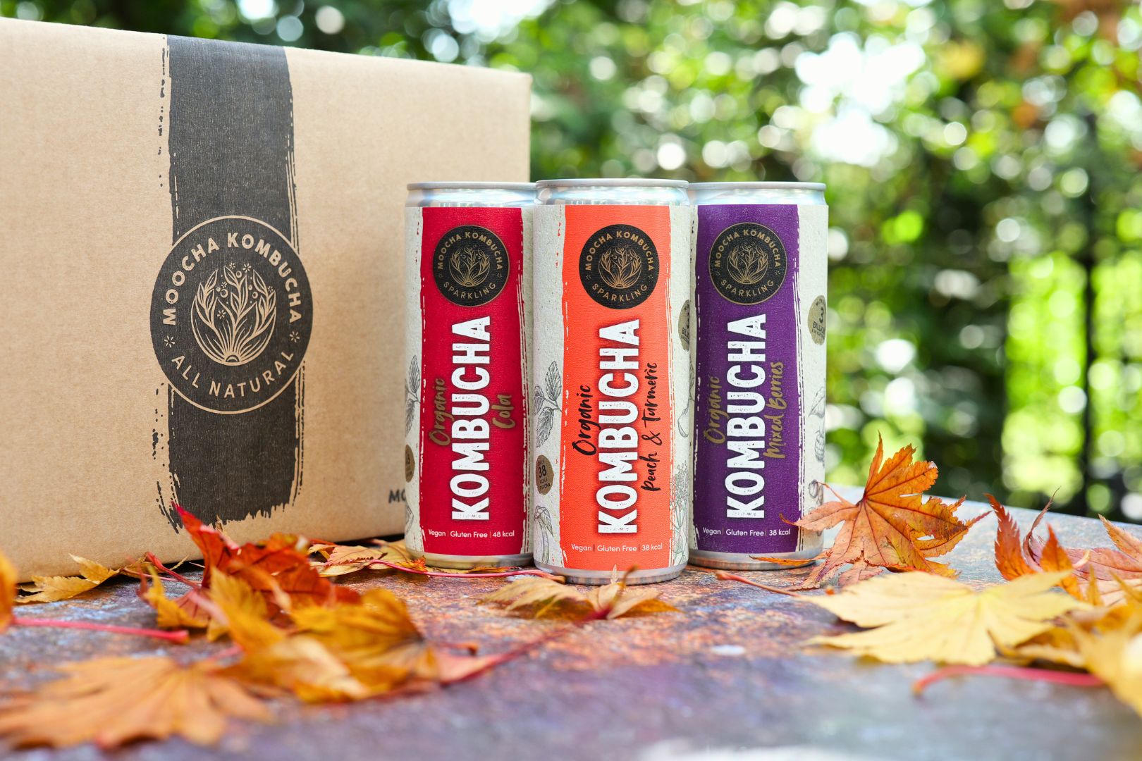 Moocha Kombucha | Organic Kombucha | Probiotic Drink | Gut Health