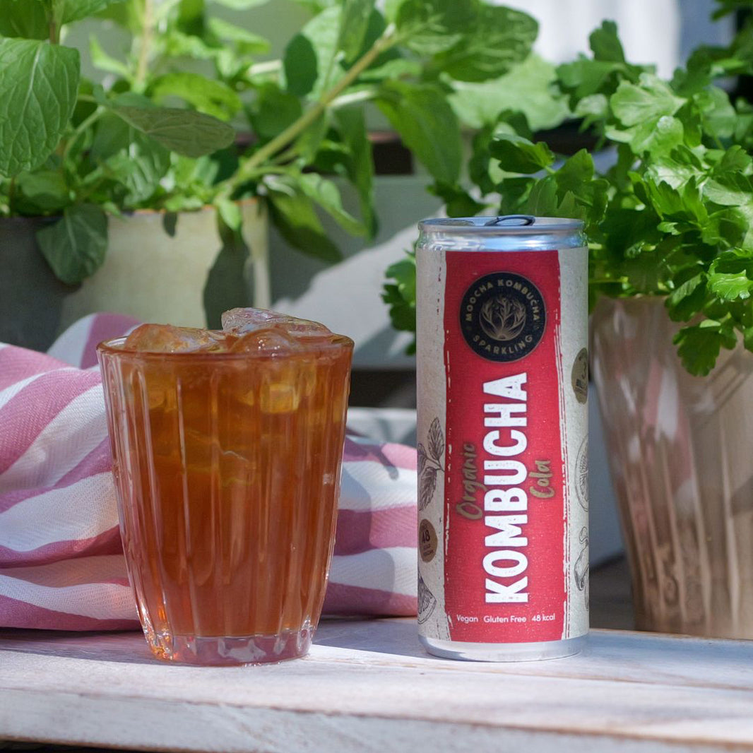 Moocha Kombucha | Organic Kombucha | Probiotic Drink | Gut Health